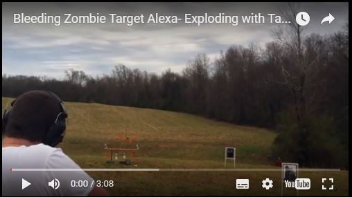 Bleeding Zombie Targets – Zombie Industries